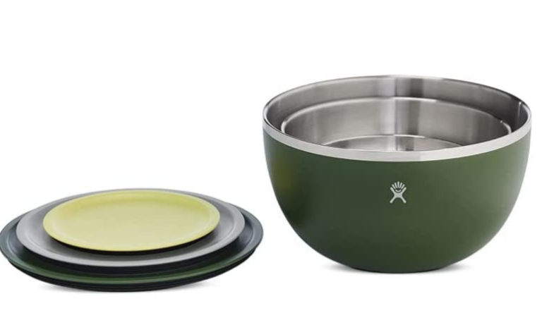 Top 5 Insulated Bowls to keep Food Warm | Price, Size, etc.